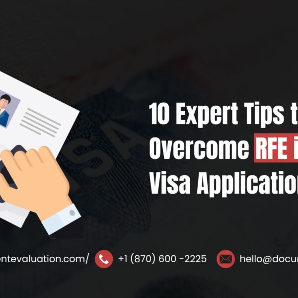 Expert Opinion Letters: Understanding Their Importance and Types